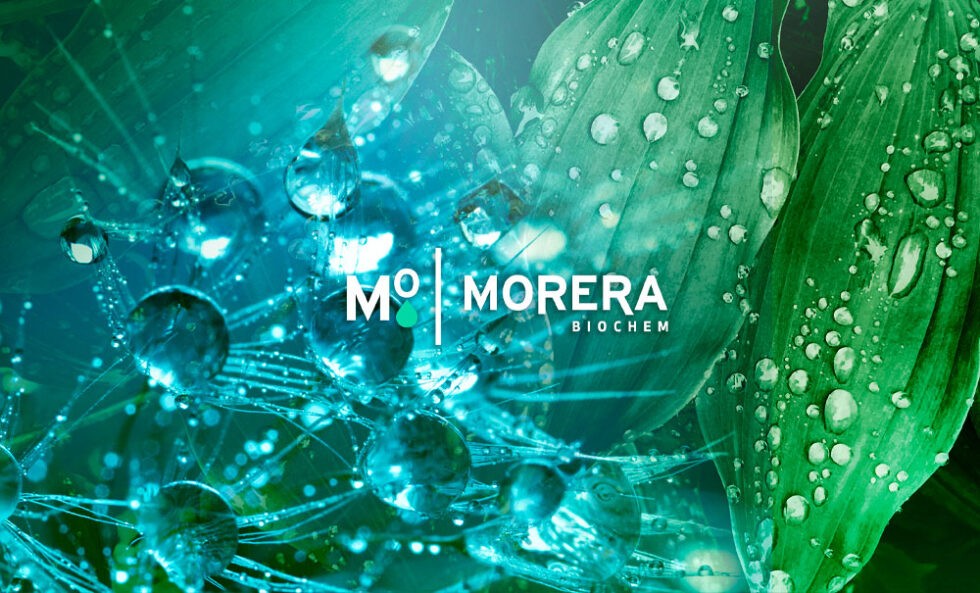 MORERA BioChem | AEFA - Asociación Española de Fabricantes de ...